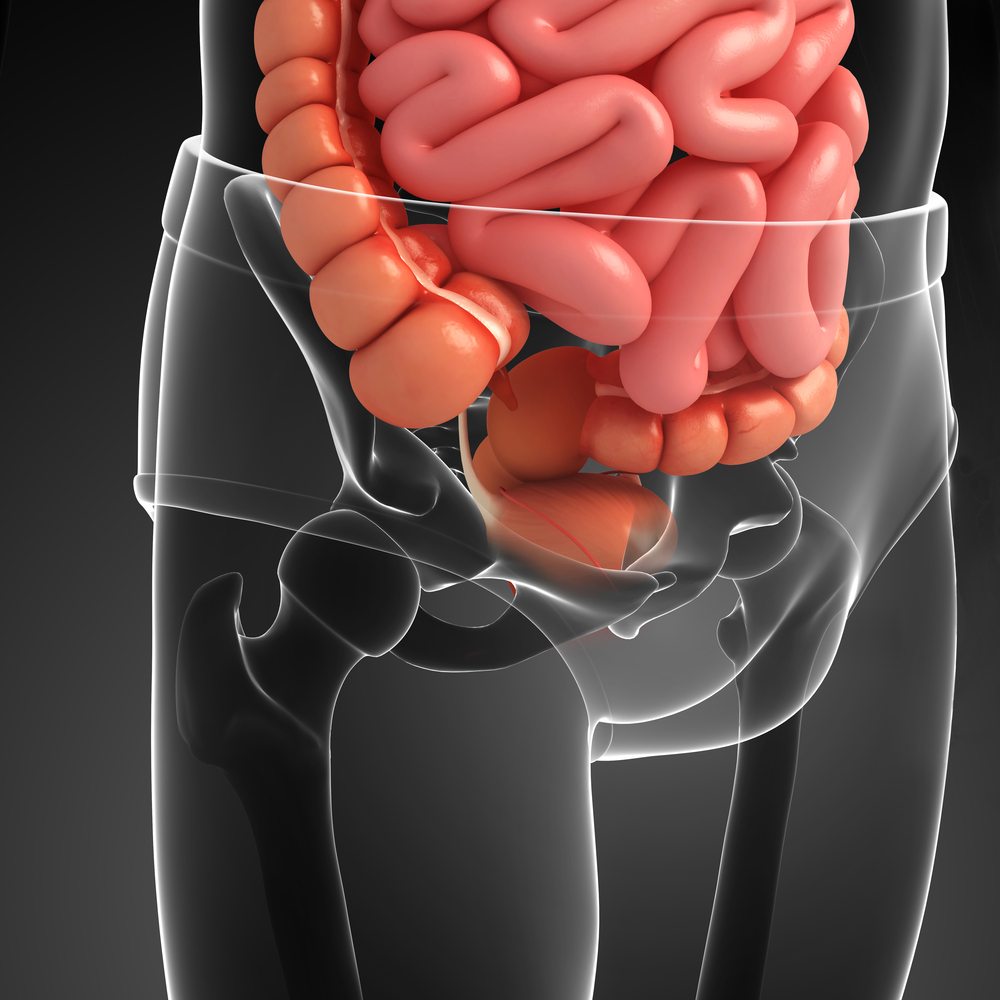 Leadership and Your Large Intestine - MyCoach