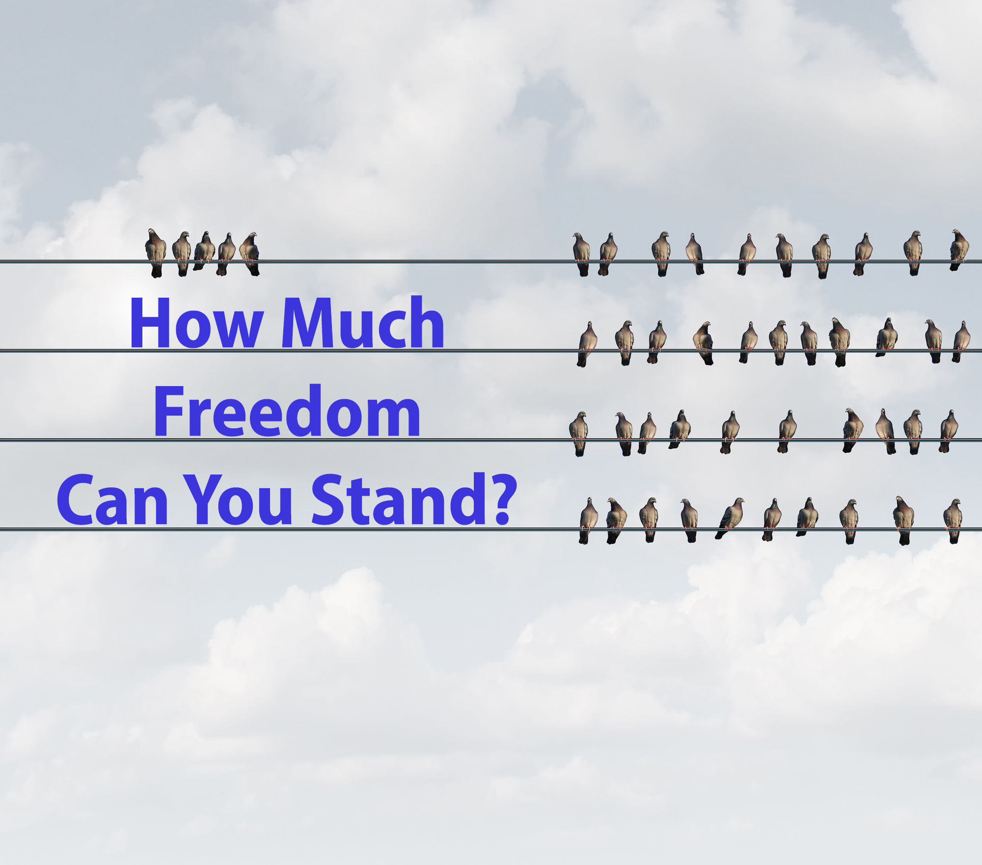 How Much Freedom Can You Stand? - MyCoach