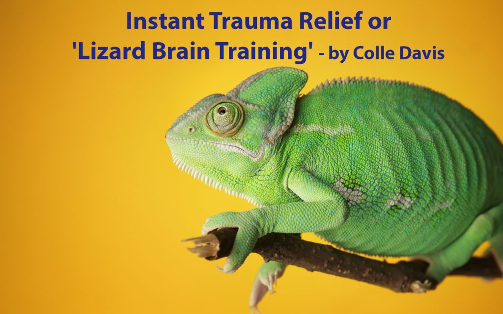 Instant Trauma Relief or 'Lizard Brain Training' - MyCoach