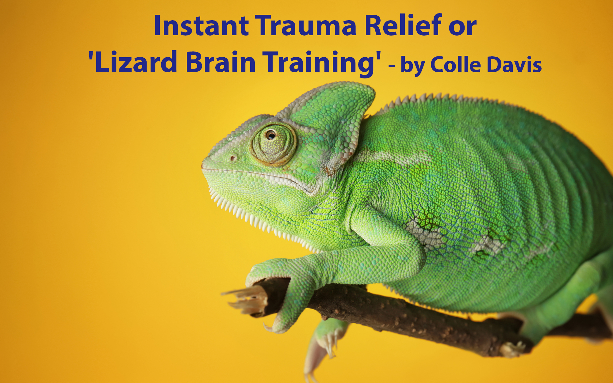 Instant Trauma Relief or 'Lizard Brain Training' - MyCoach